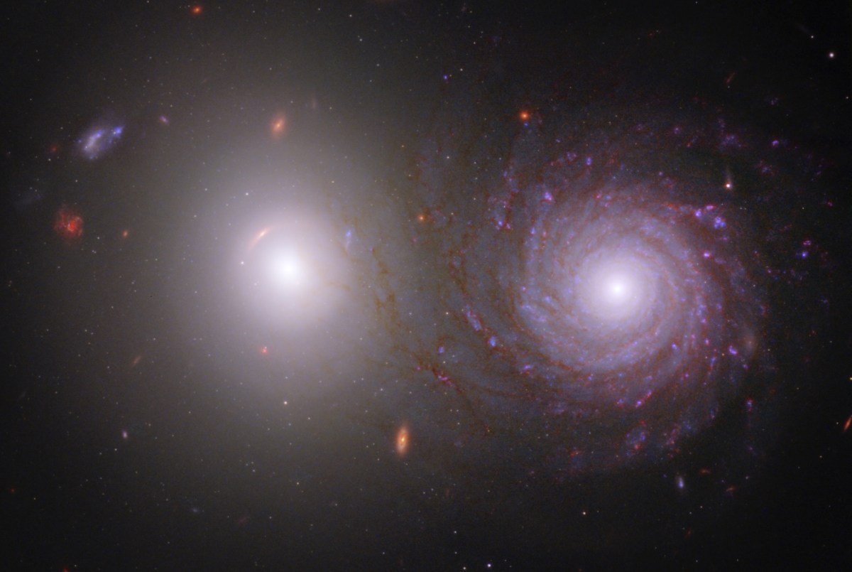 From Galaxy Zoo to JWST – dust and gravitational lensing | Galaxy Zoo